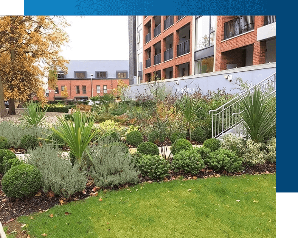 Landscaping – AWS Services